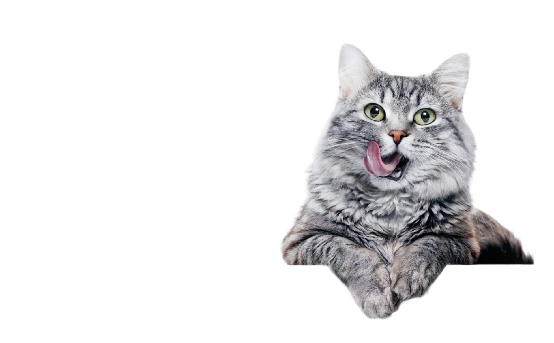 Proizvodi – D-Atomic®